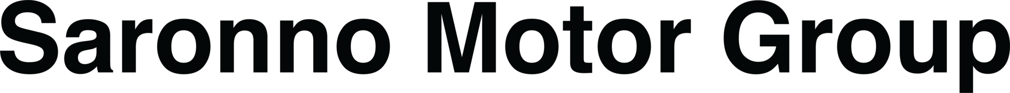 Saronno Motor Group